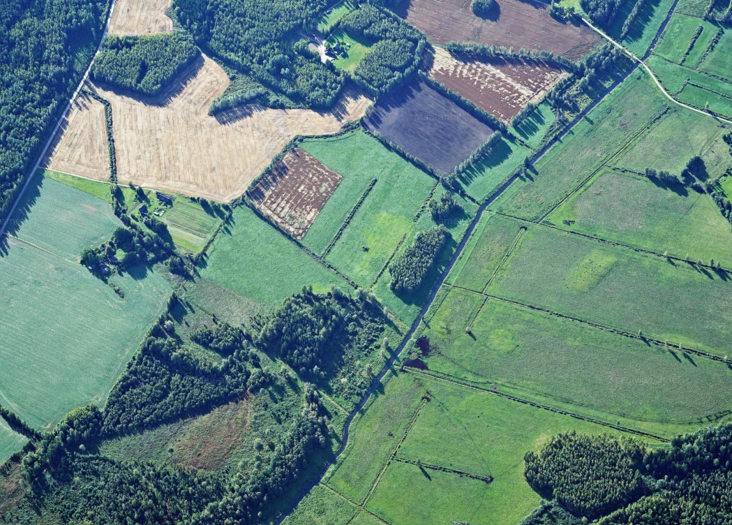 UUS HIND! Samblaniidu - Tehingukeskus