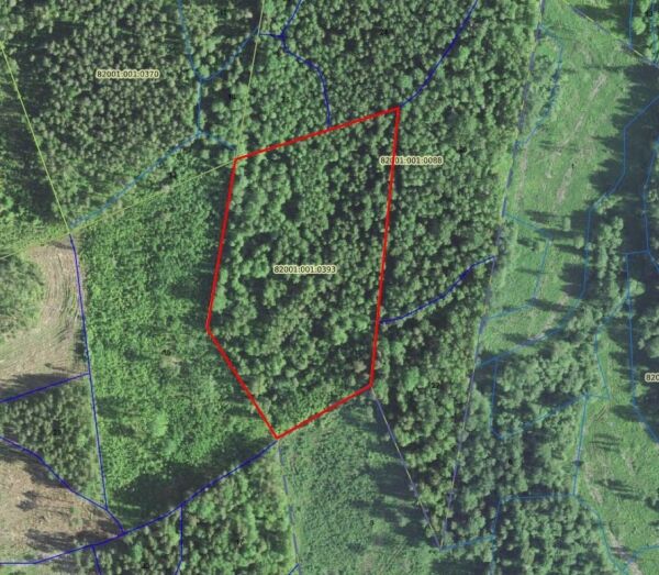 Kajaja Vidrik - Tehingukeskus